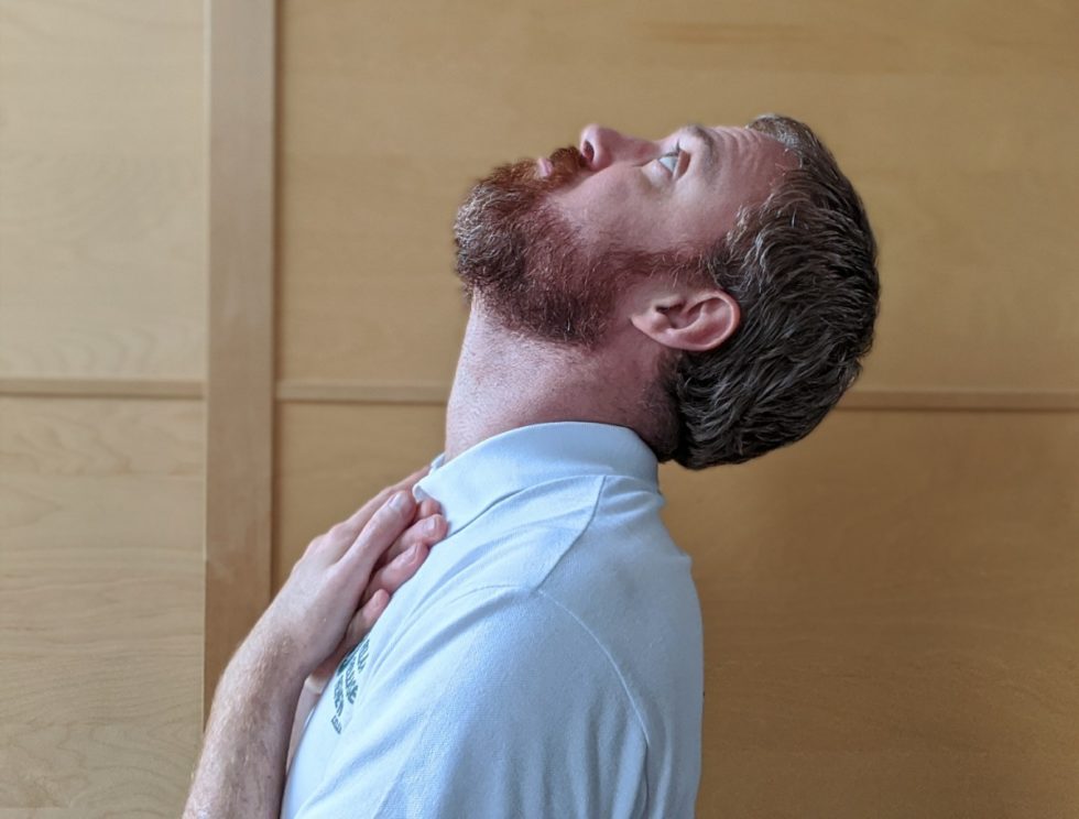 Neck stretch - front and sides of the neck - Relax Release Renew