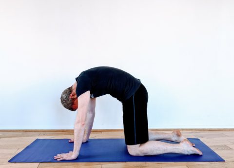 Cat Stretch - Relax Release Renew