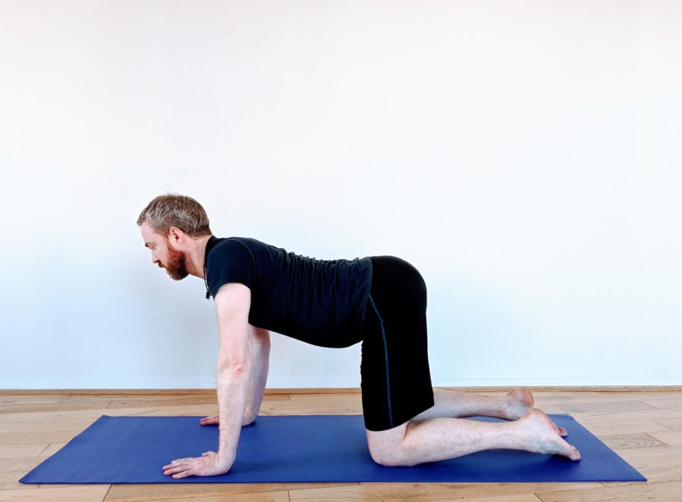 Cat Stretch - Relax Release Renew