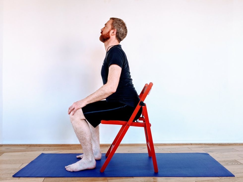 Cat Stretch - Relax Release Renew